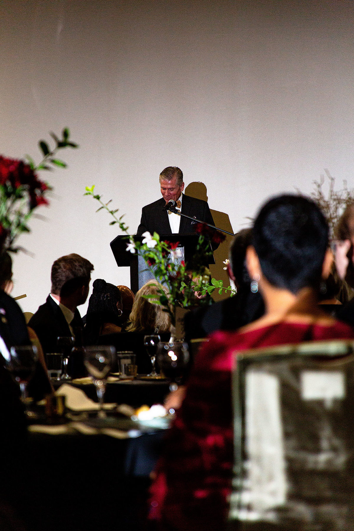 Photo Gallery - Tanyard Creek Overlook